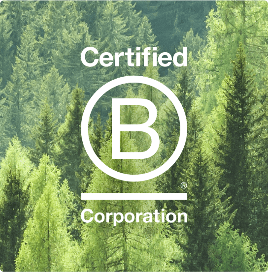 Careers - Jobs in Insurance & Tech | YuLife